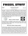 Fun Fossil Activities — Paleontological Research Institution