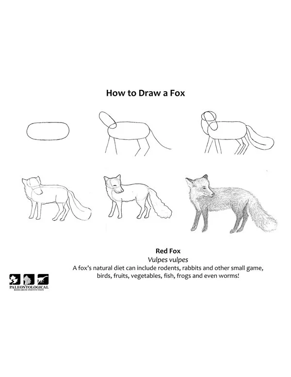 Fun Fossil Activities — Paleontological Research Institution