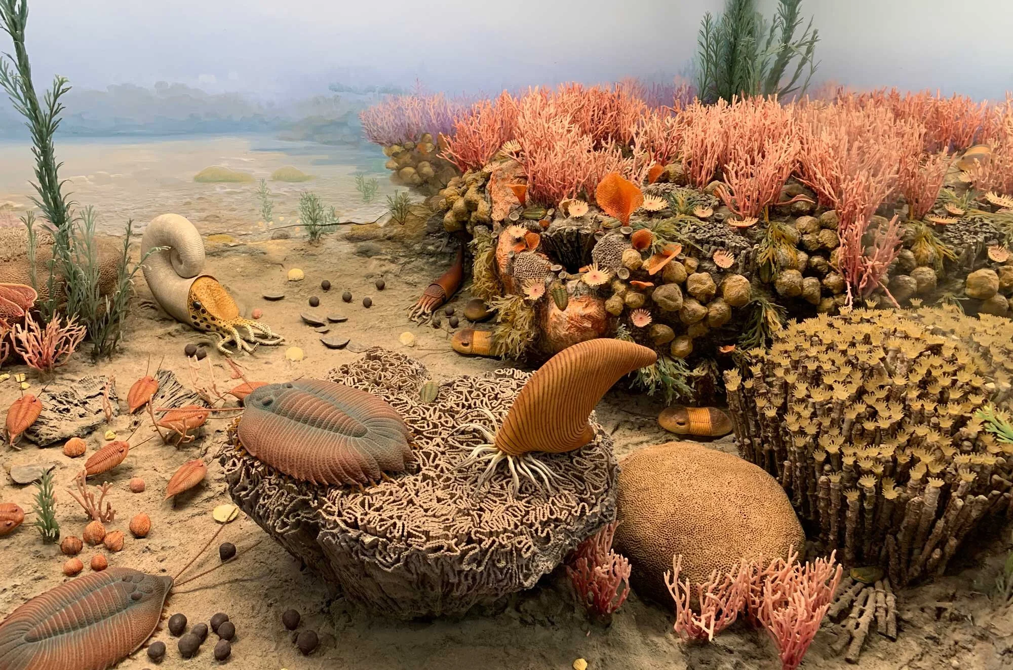 Vanished Worlds: The Smithsonian Fossil Dioramas at PRI ...