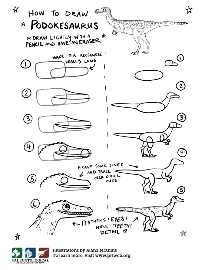 Mignon Talbot and the Discovery of Podokesaurus — Paleontological ...