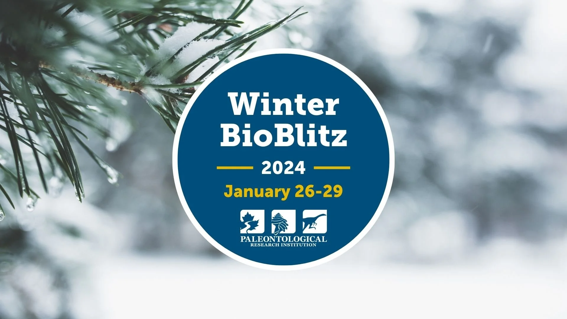 BioBlitz - 24-Hour Search for Species — Paleontological Research ...