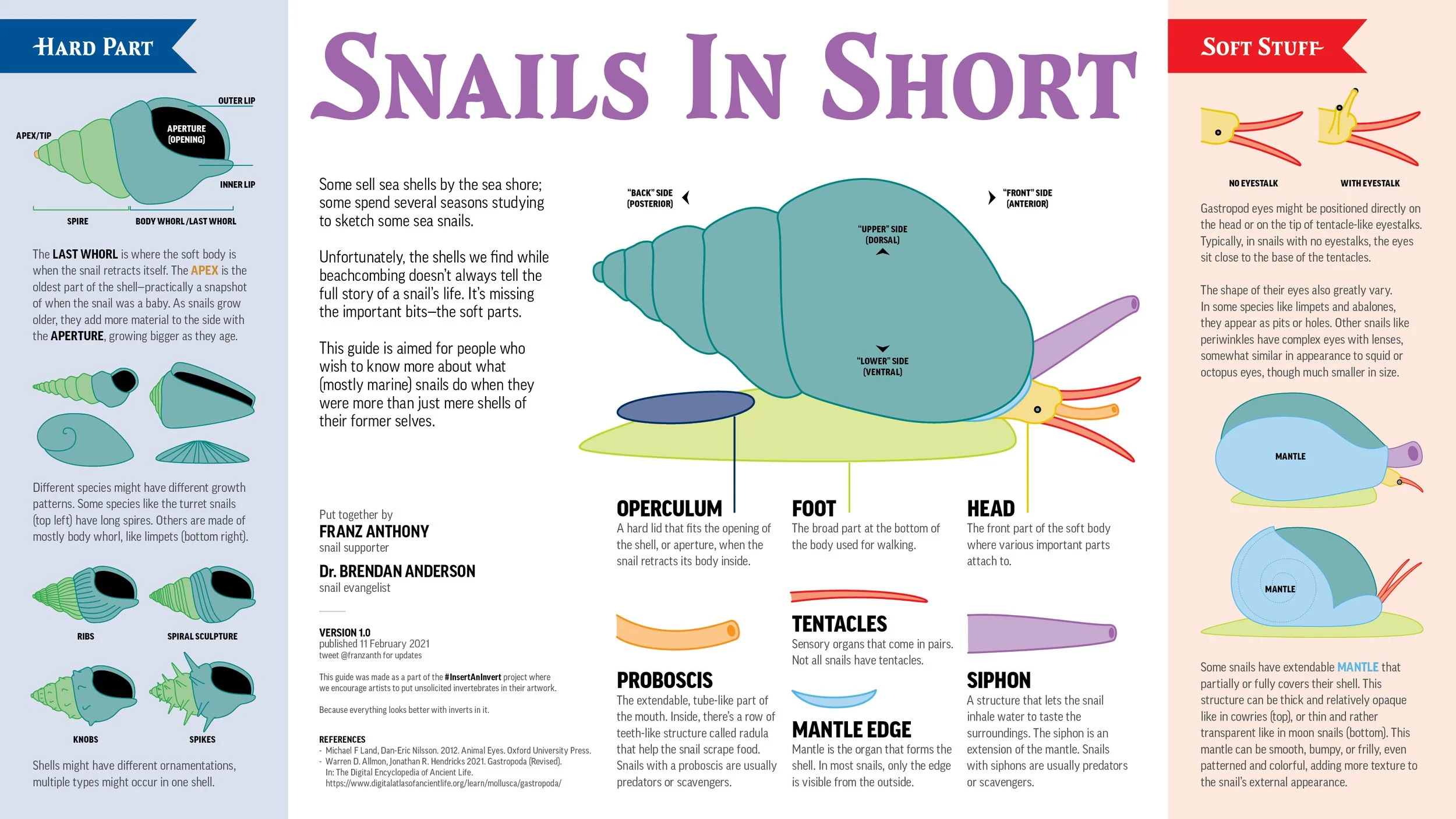 Brendan Anderson — Paleontological Research Institution
