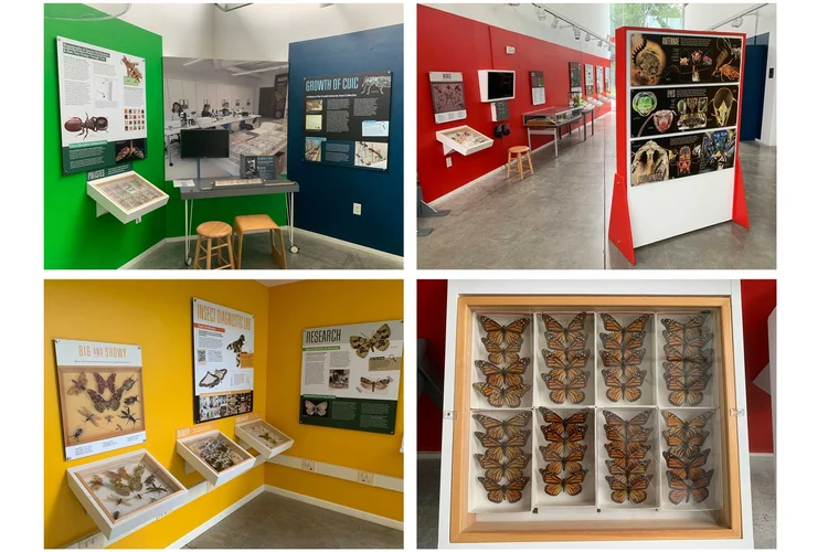 Grant partnerships — Paleontological Research Institution