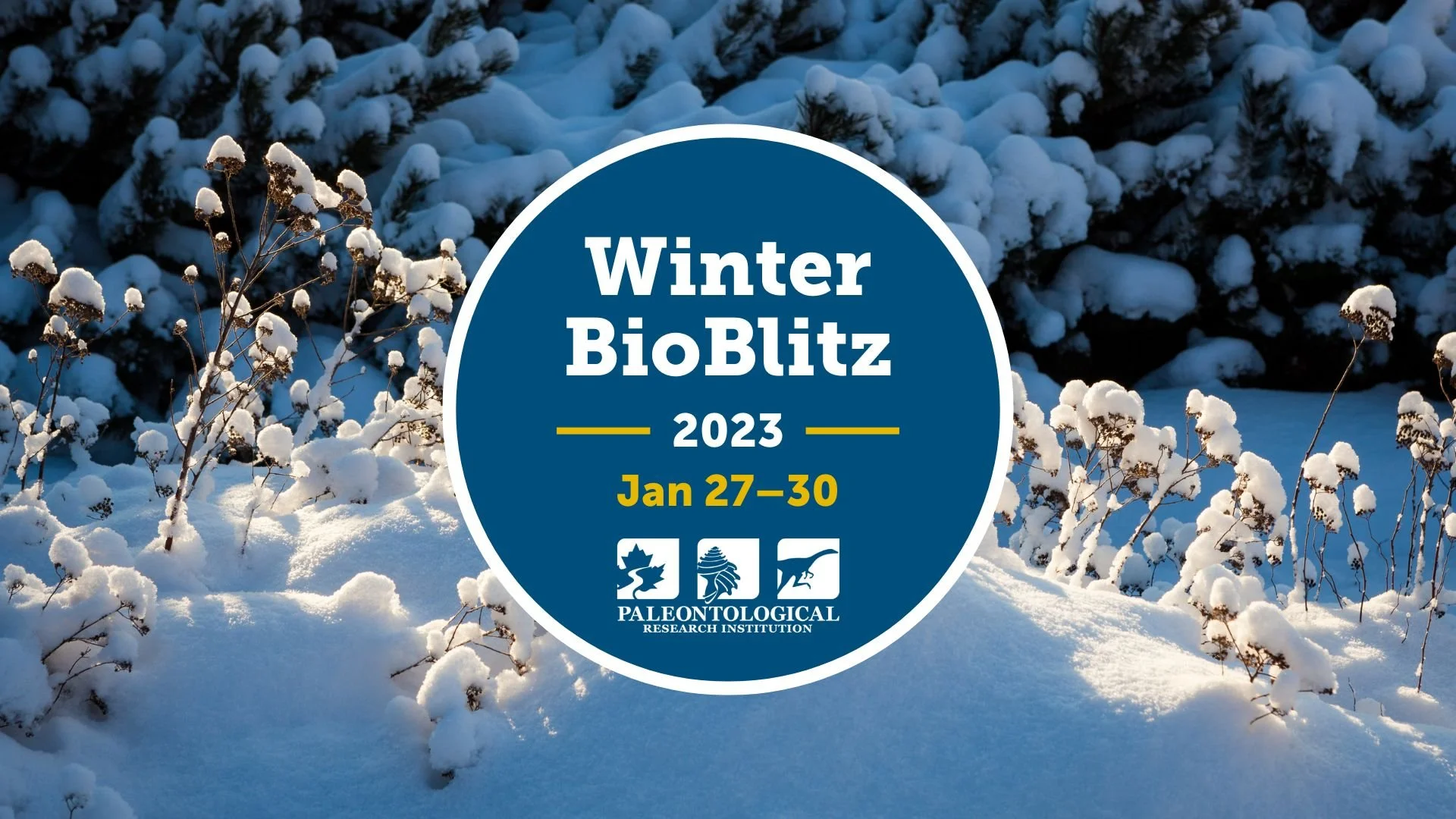 BioBlitz - 24-Hour Search for Species — Paleontological Research ...