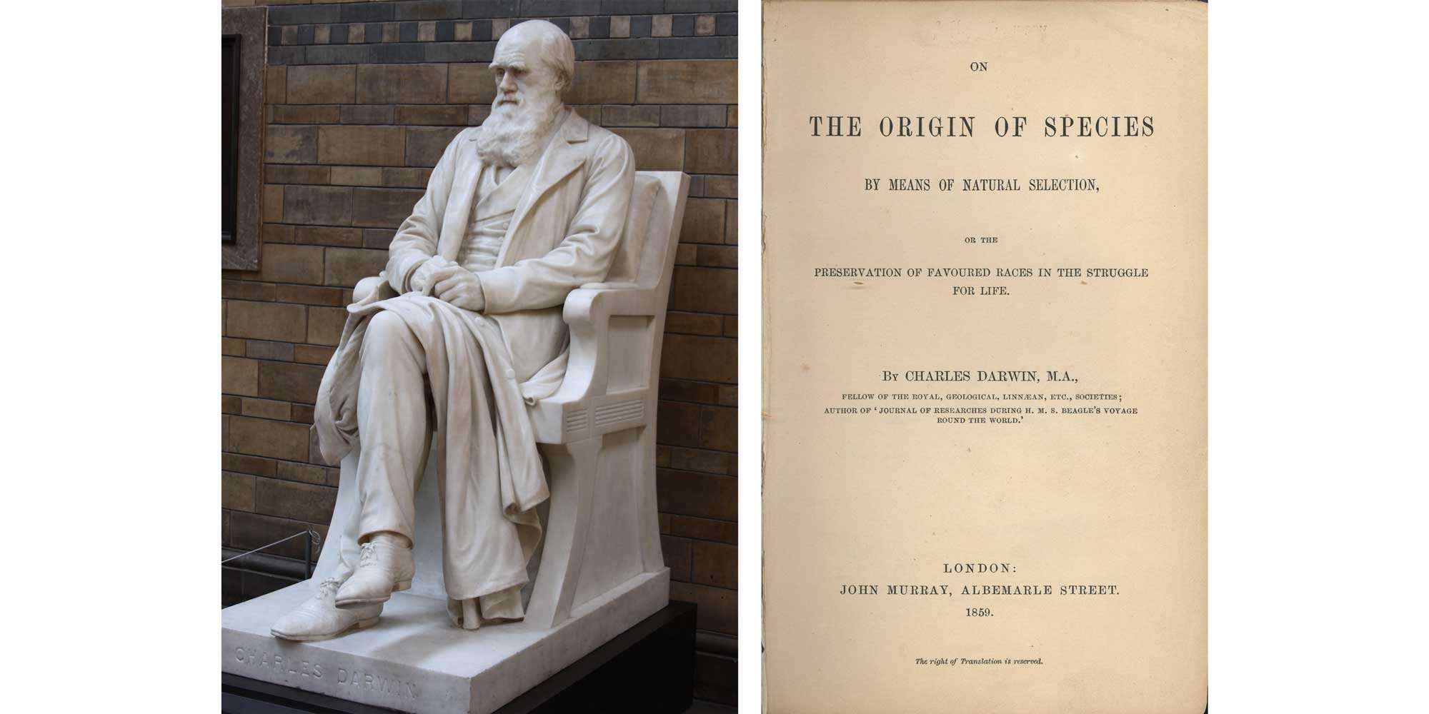 What Did Darwin Do? — Paleontological Research Institution