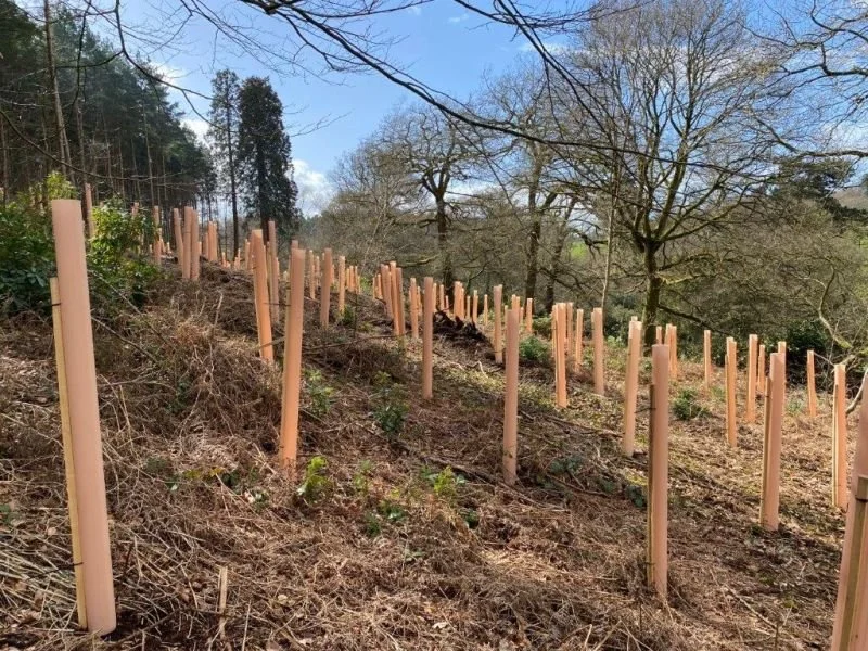 Tree Shelters — Kestrel Forestry Consultants