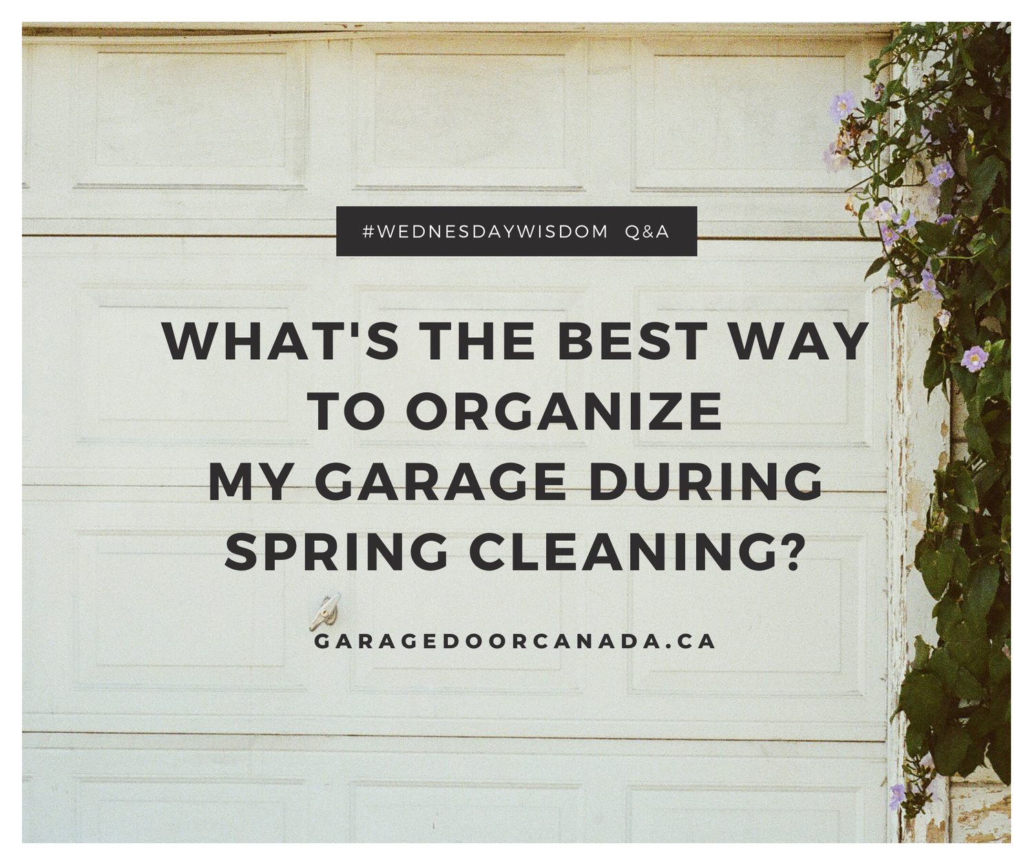 What's the Best Way to Organize My Garage during Spring Cleaning ...