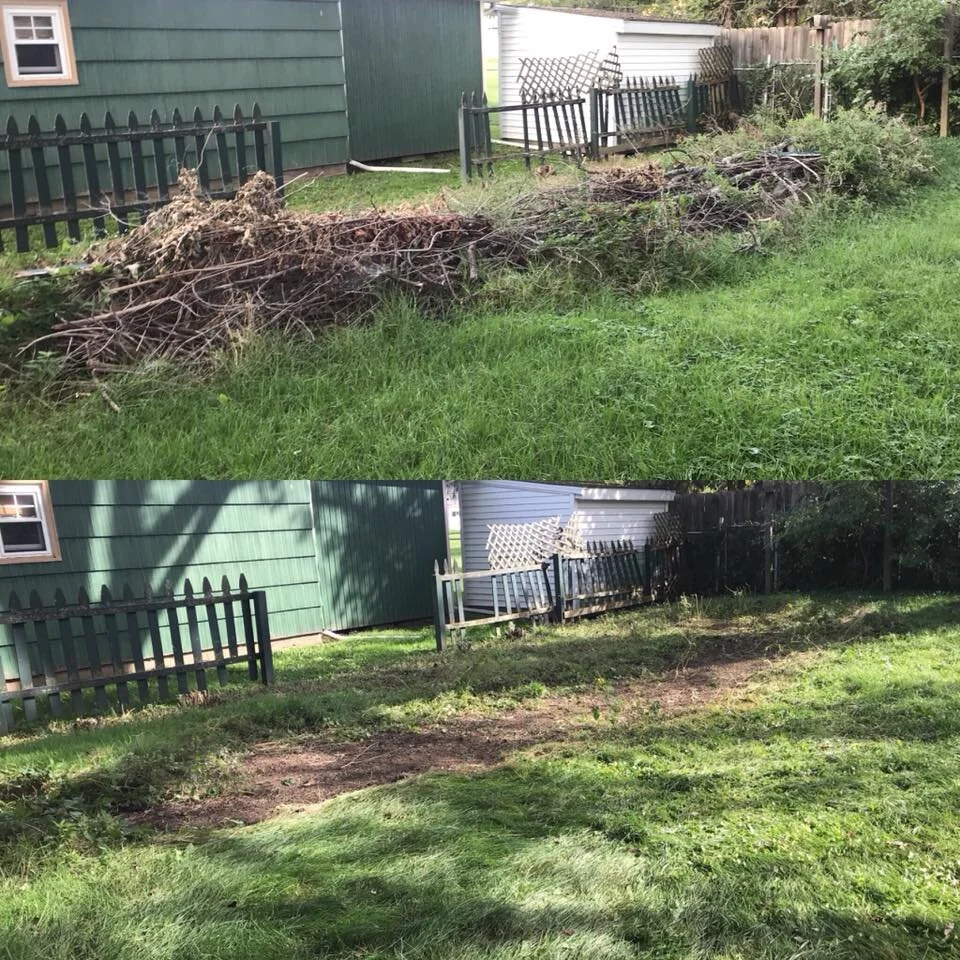 Andrew Paul Landscaping