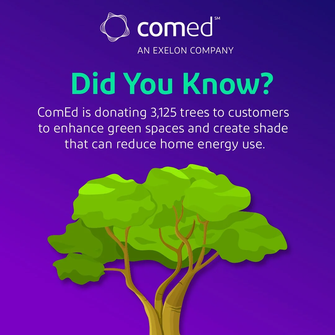 ComEd Social Content — Doer/Maker