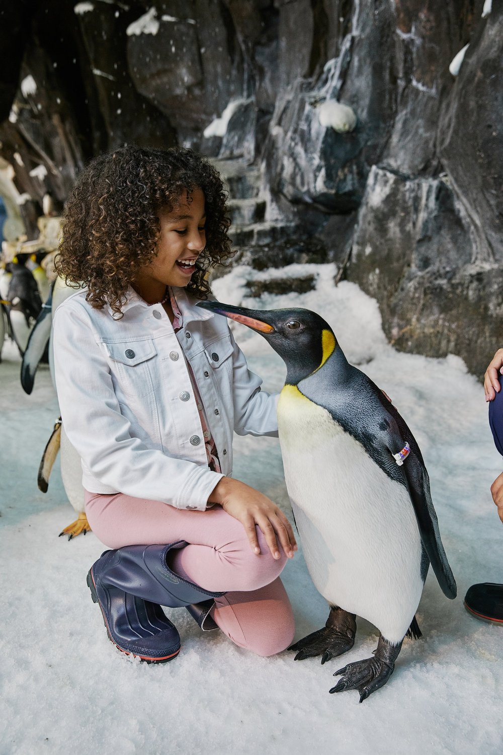 SeaWorld Orlando’s Popular “Inside Look” Program is Back with New ...