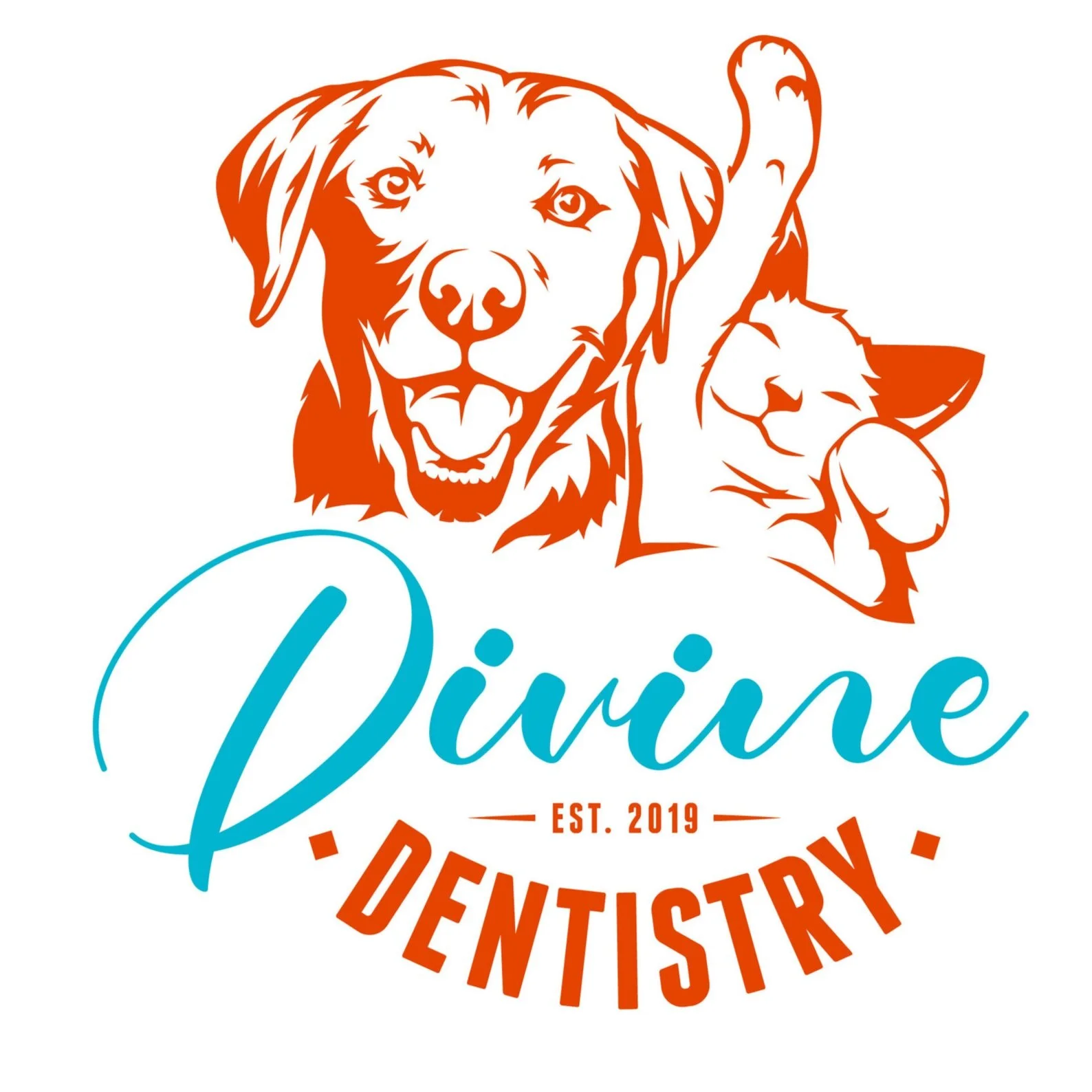 Veterinary dentistry