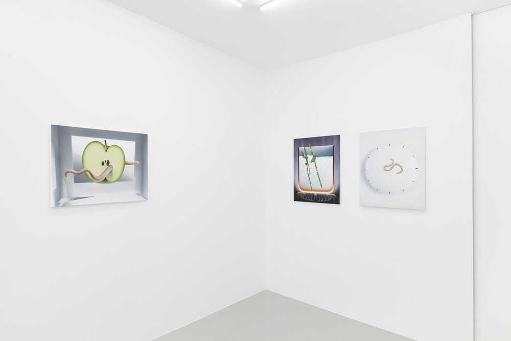 Ripple - John Bohl — springsteen