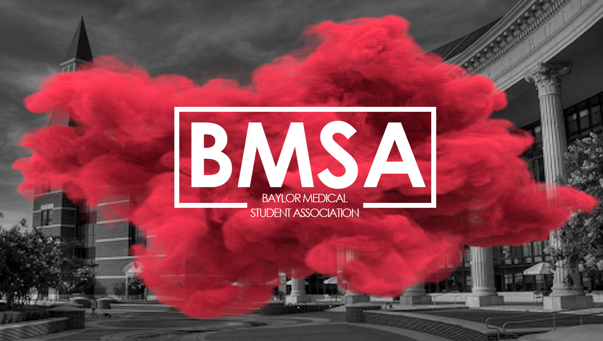 BMSA