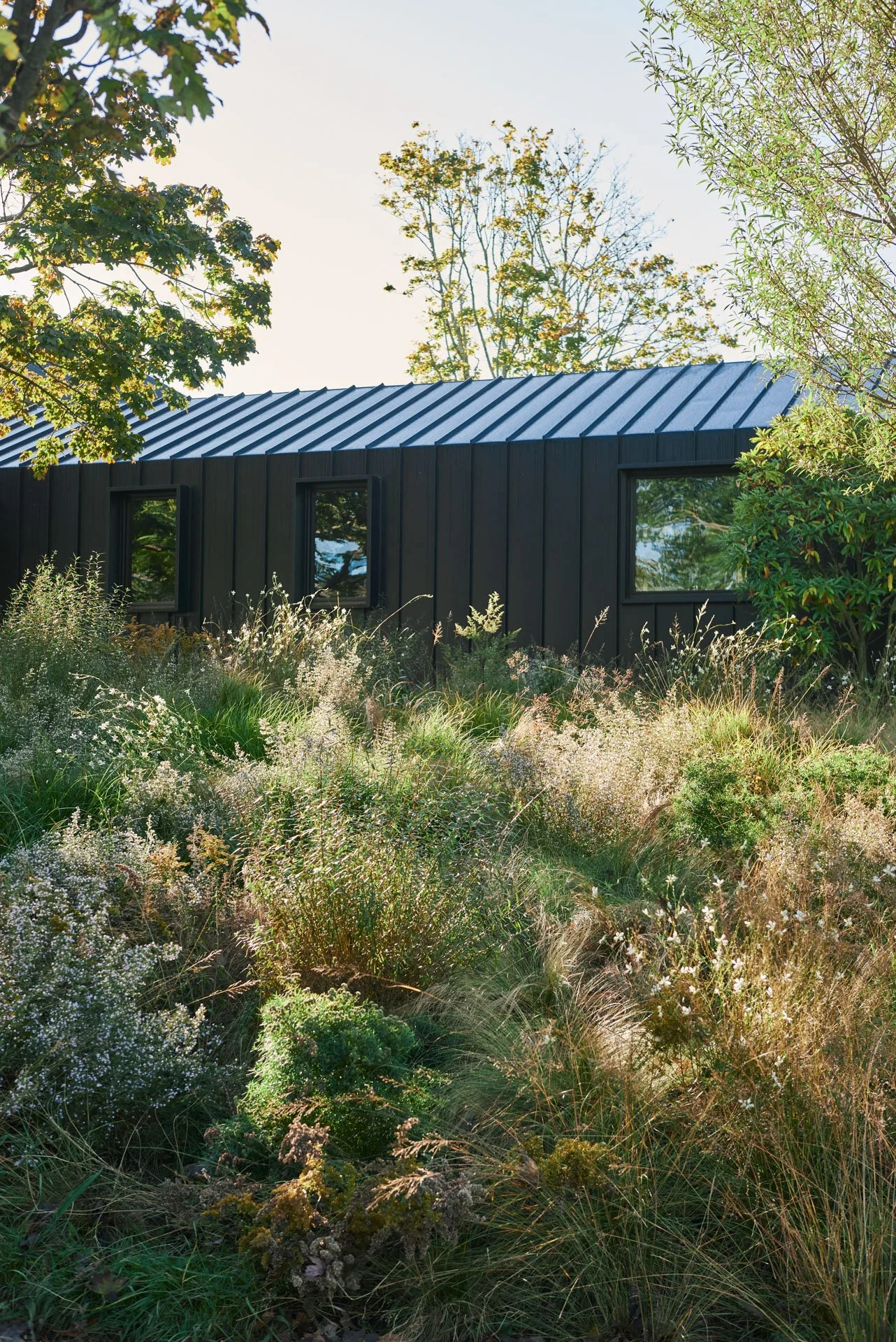 Martin Architects — deMauro + deMauro