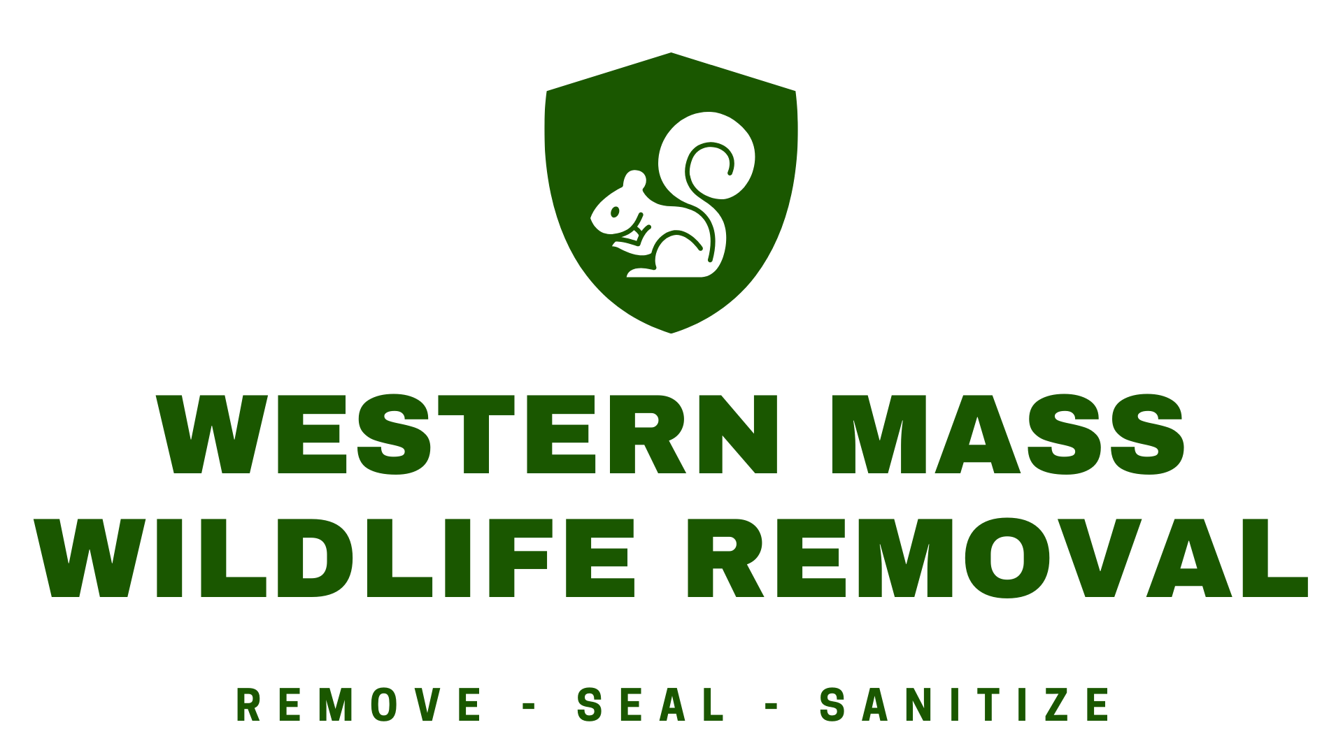 Western Mass Wildlife Removal western-mass-wildlife-removal