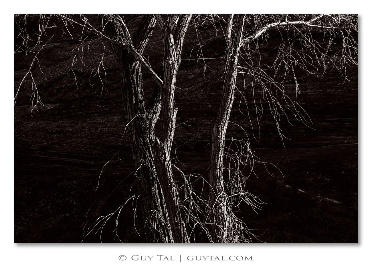 Seeking Questions — Guy Tal | Photographer, Author