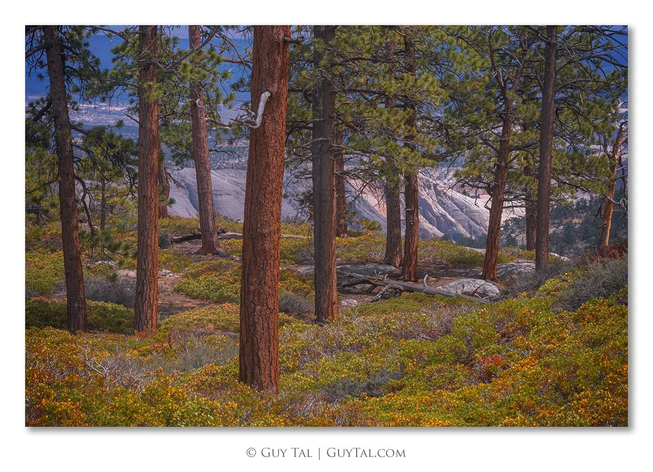 Recent Additions — Guy Tal | Photographer, Author