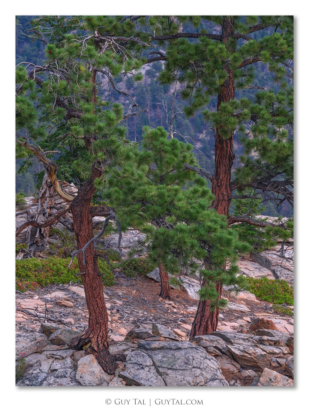 Recent Additions — Guy Tal | Photographer, Author