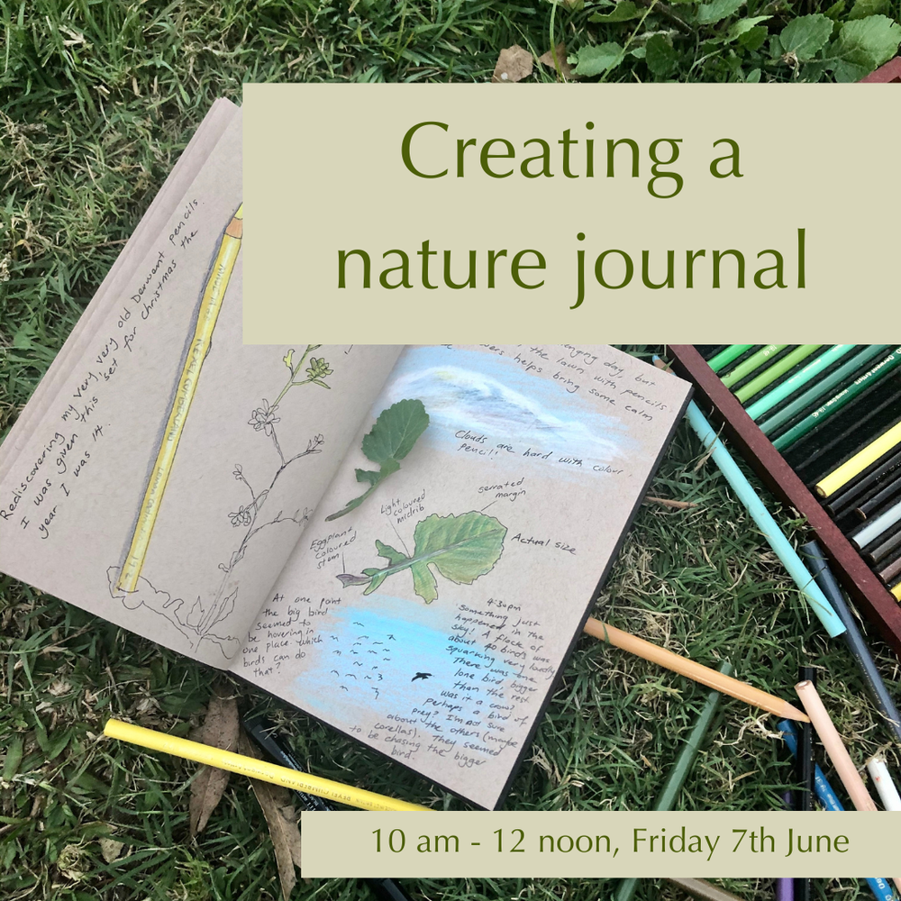 Events and Workshops — Journaling with Nature