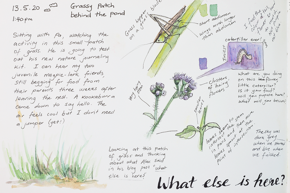 Journal Pages — Journaling with Nature