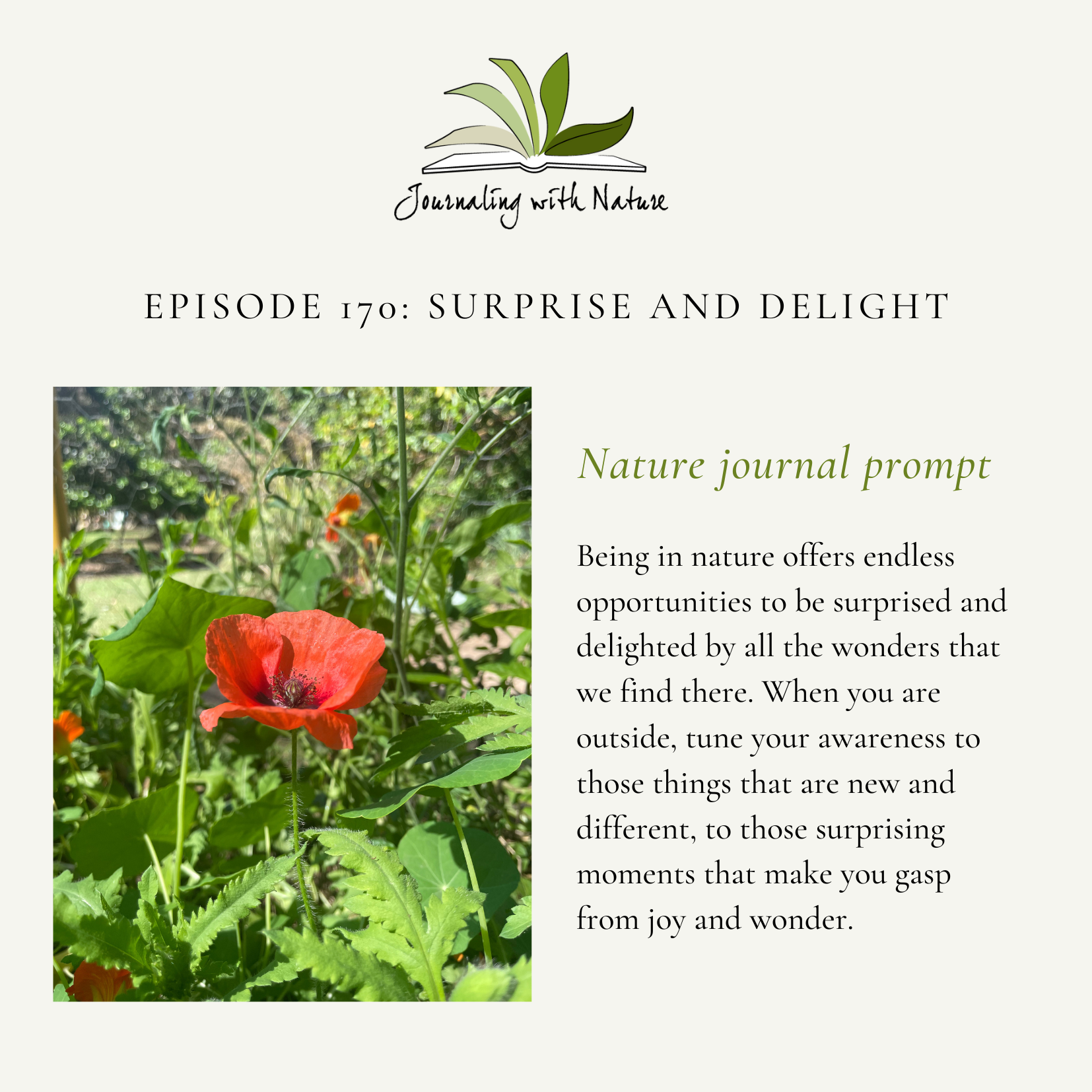 Podcast — Journaling with Nature