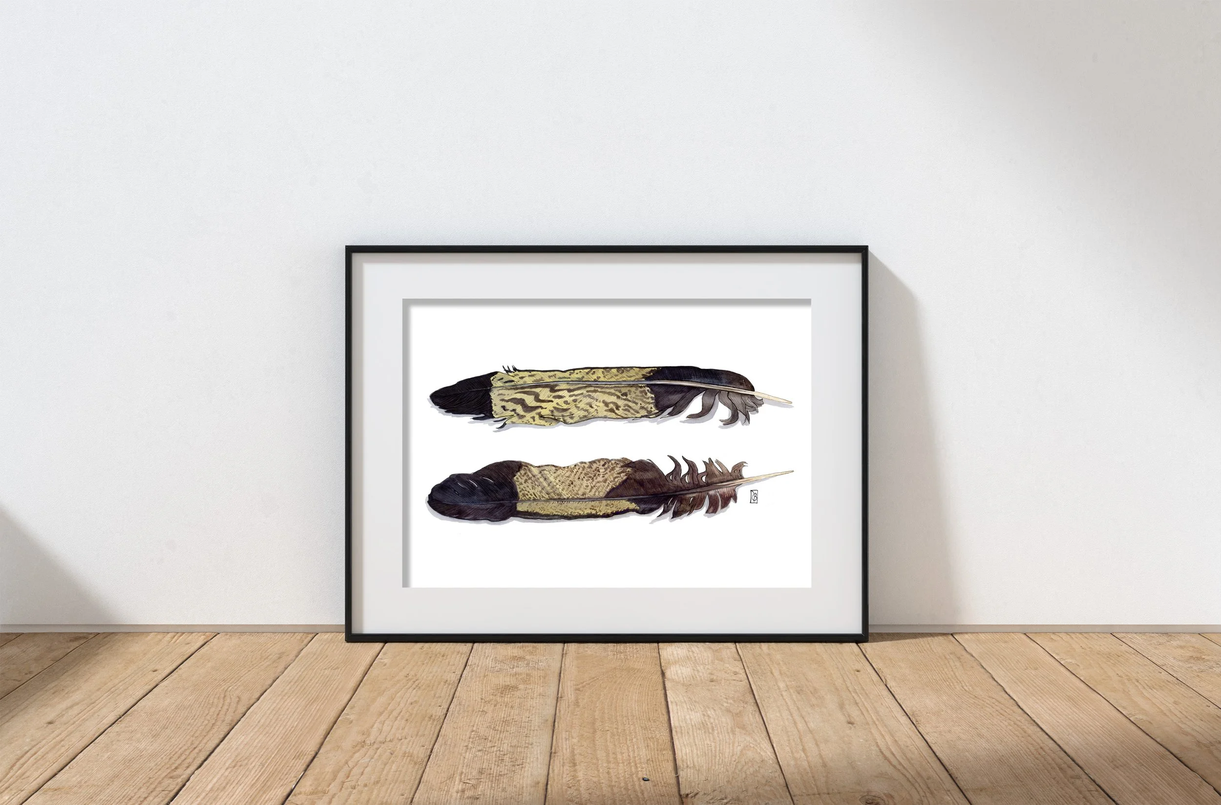Yellow-tailed Black Cockatoo Feathers — Journaling with Nature