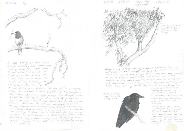 Blog — Journaling with Nature