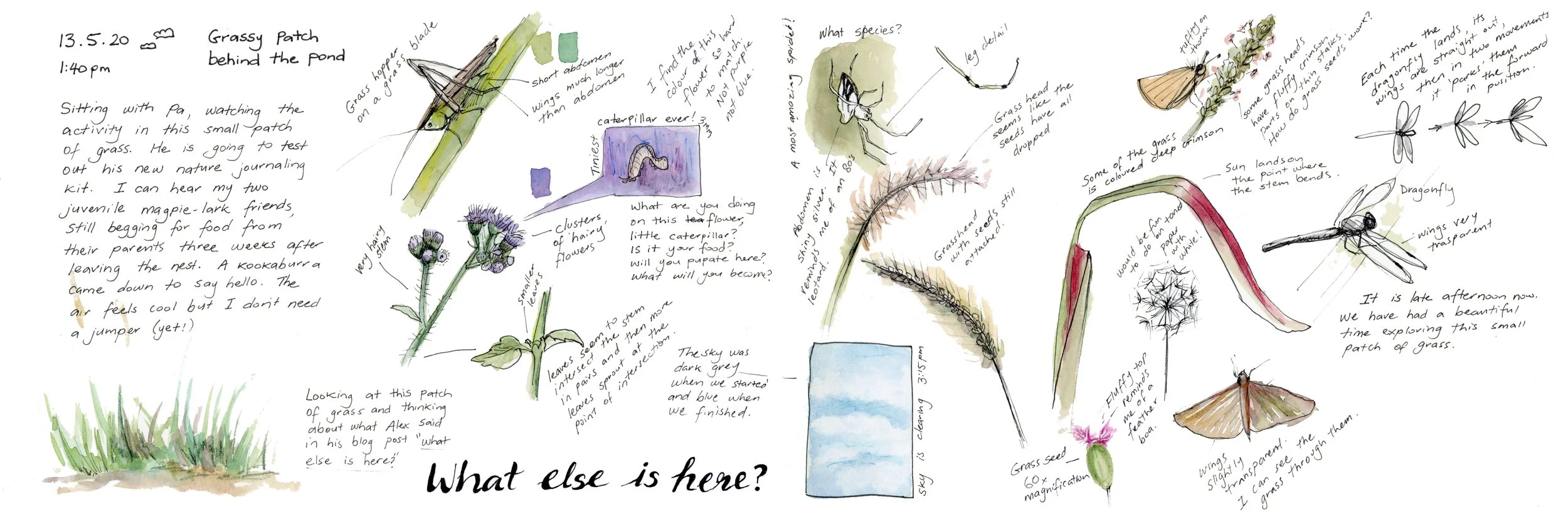 Blog — Journaling with Nature