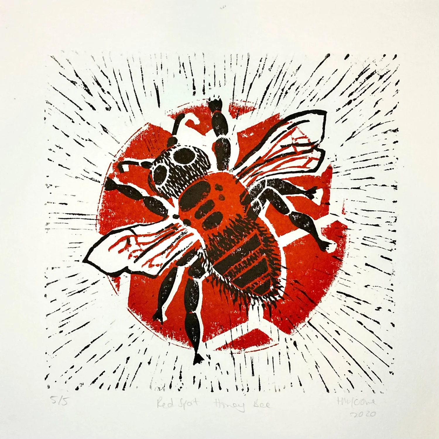 Red And Black Bee