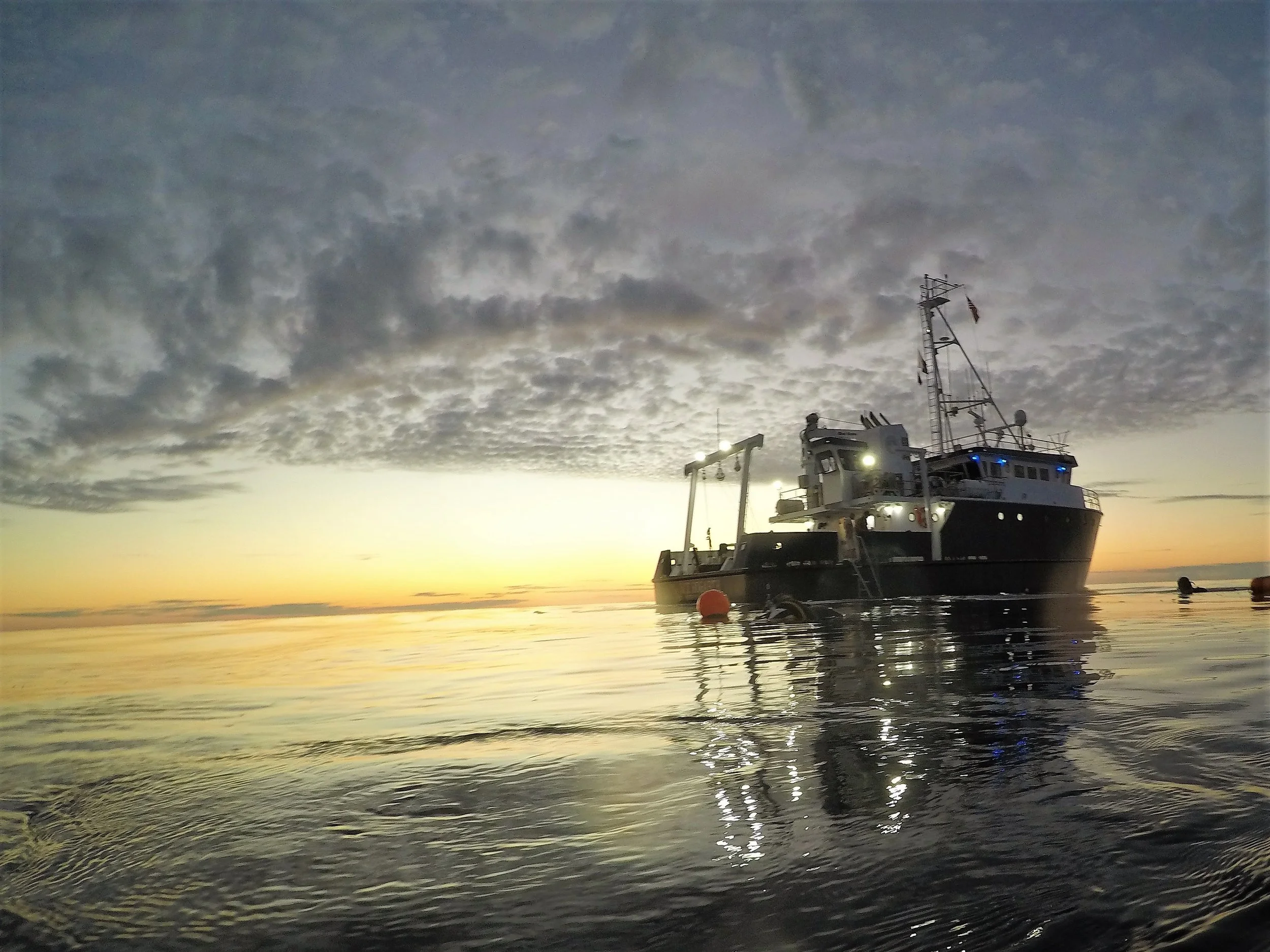 Custom naval architecture and marine engineering solutions — Boksa Marine Design