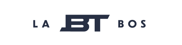 Our Partners — BT Capital and Consulting