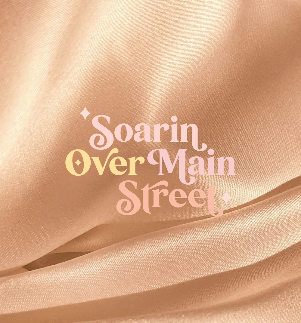 Soarin' Over Main Street Custom Branding — Helloo SamSam Designs