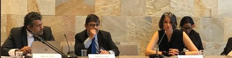 Jojo Mehta — Stop Ecocide International