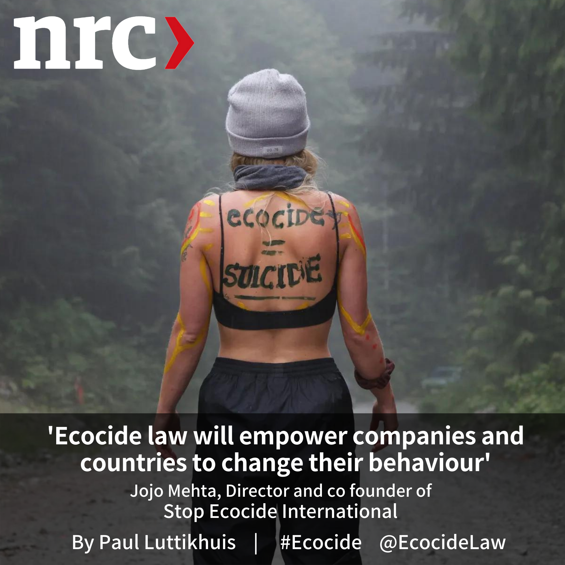 News articles — Stop Ecocide International