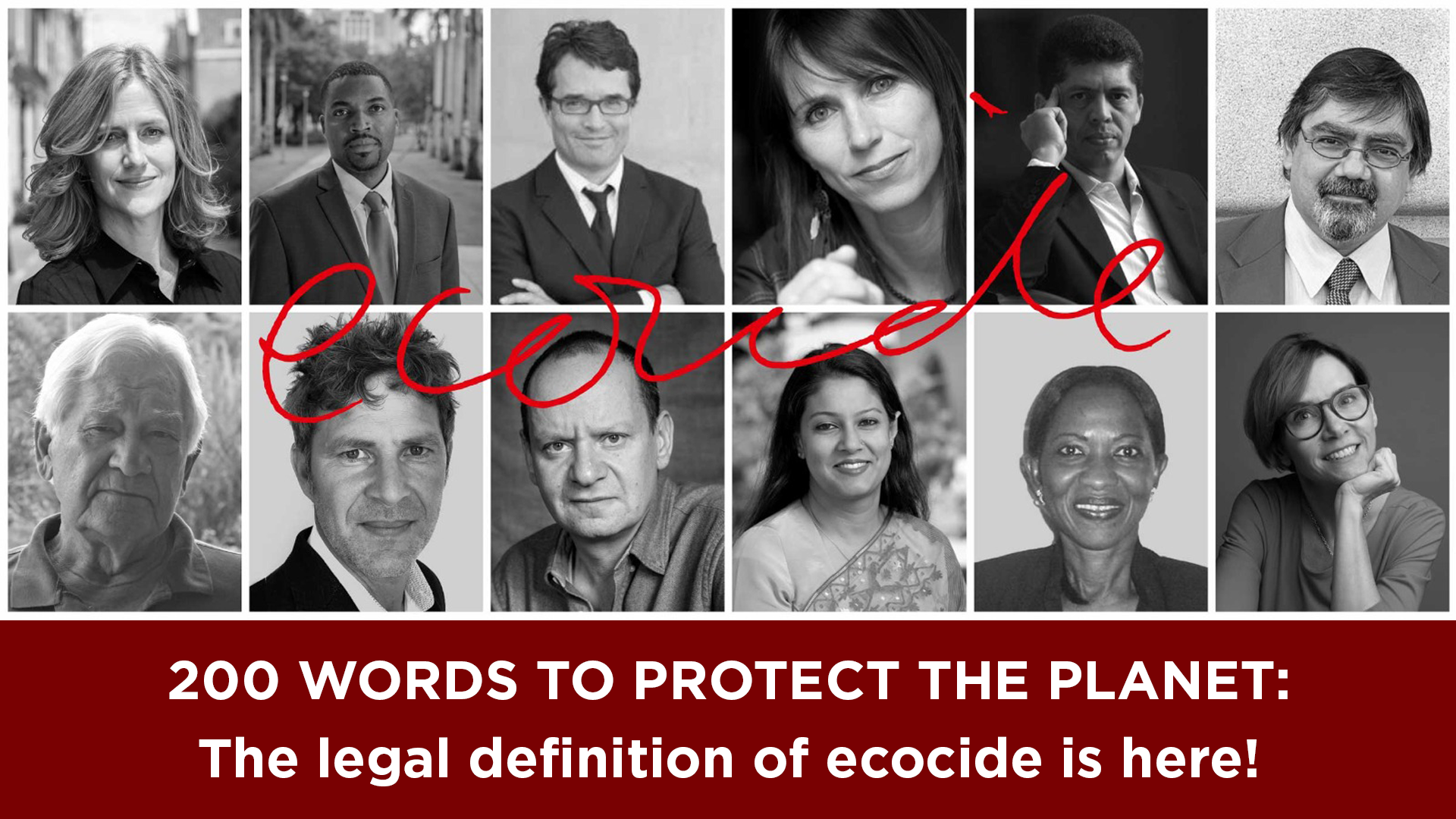 Top International Lawyers Unveil Definition Of ecocide Stop Ecocide