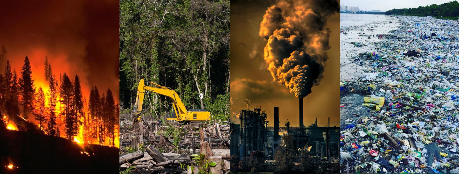Stop Ecocide International