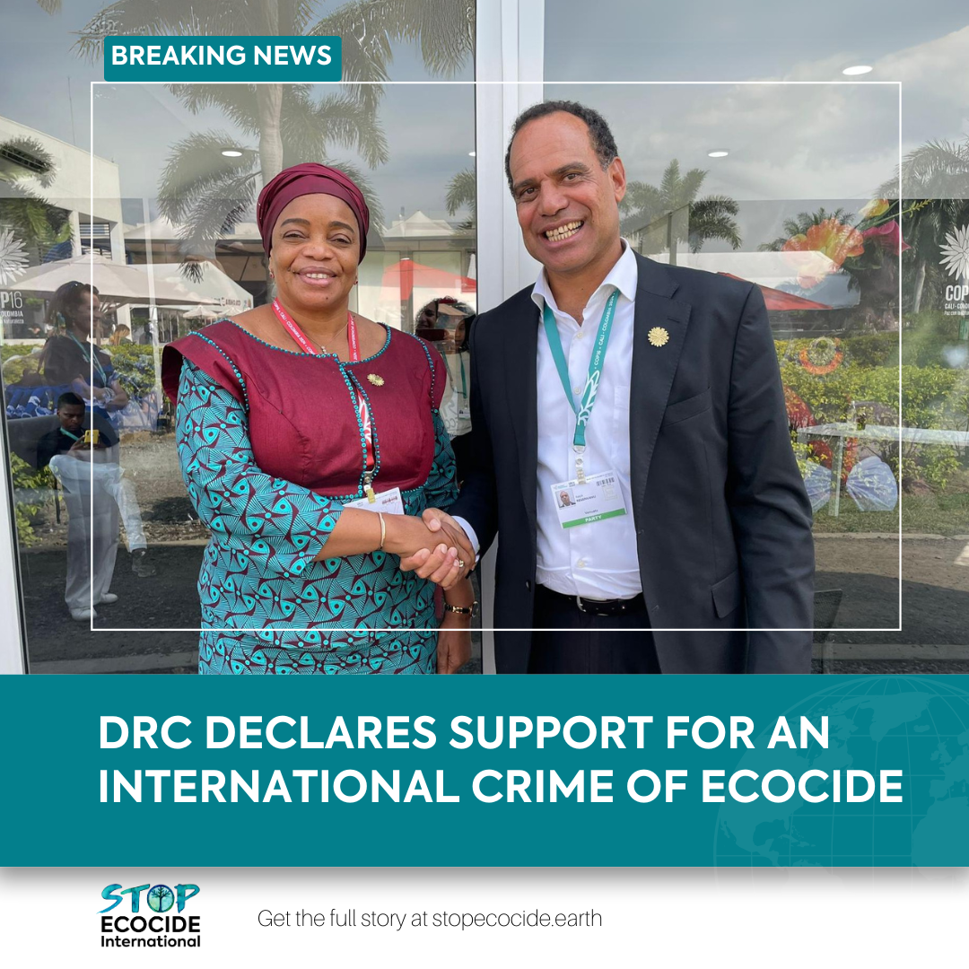 Stop Ecocide International