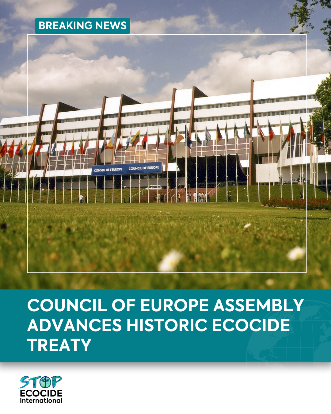 Stop Ecocide International