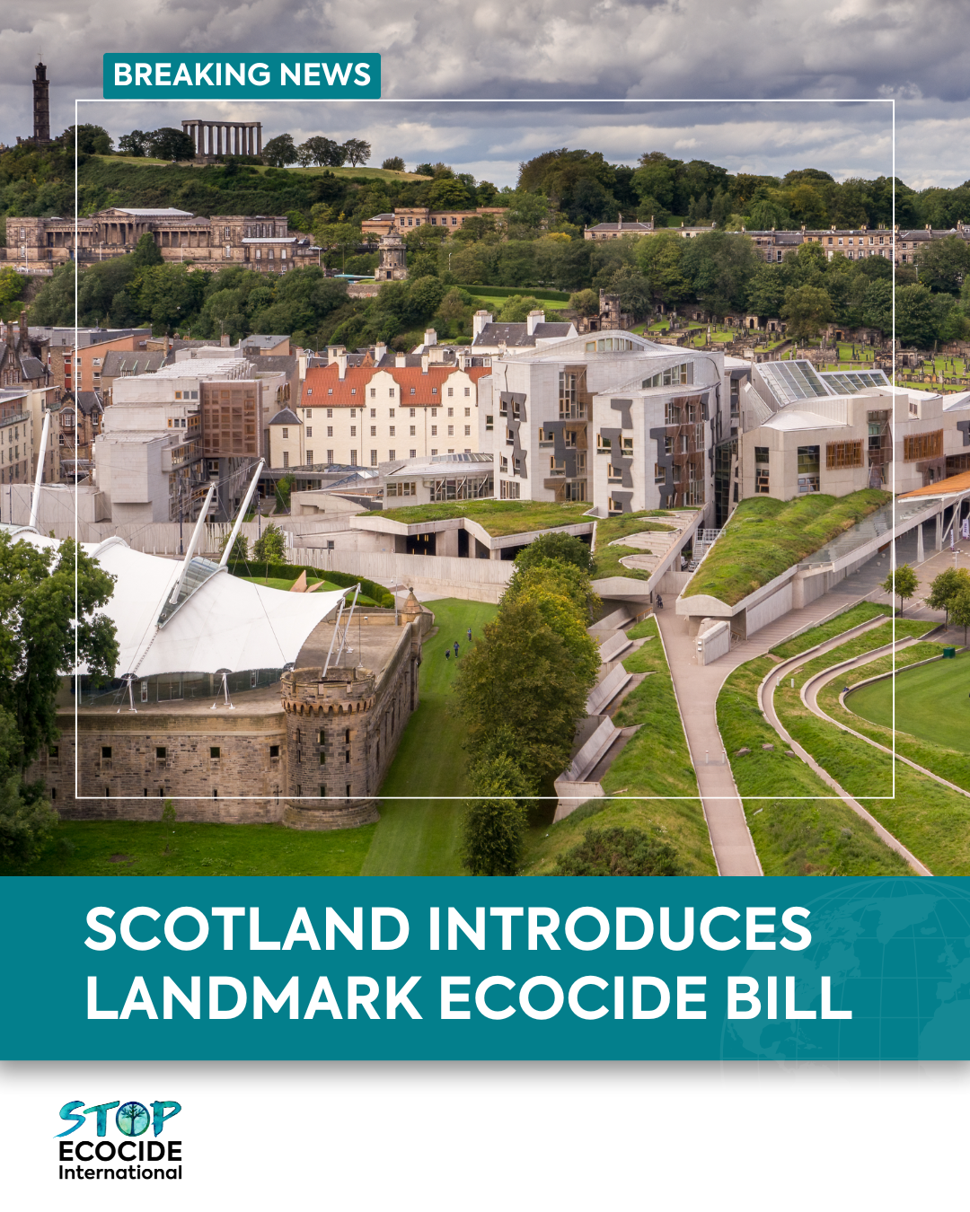 Stop Ecocide International