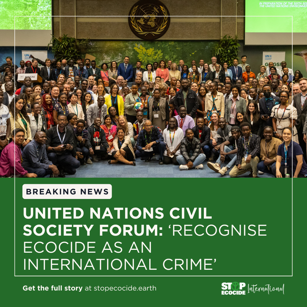 United Nations Civil Society Forum: ‘recognise ecocide as an international crime’ — Stop Ecocide ...