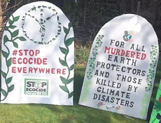Mobilisation Week Summary — Stop Ecocide International