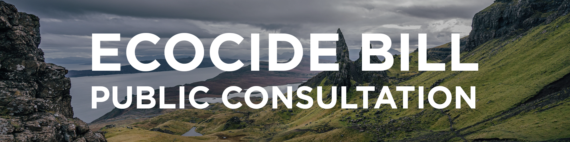 Stop Ecocide International