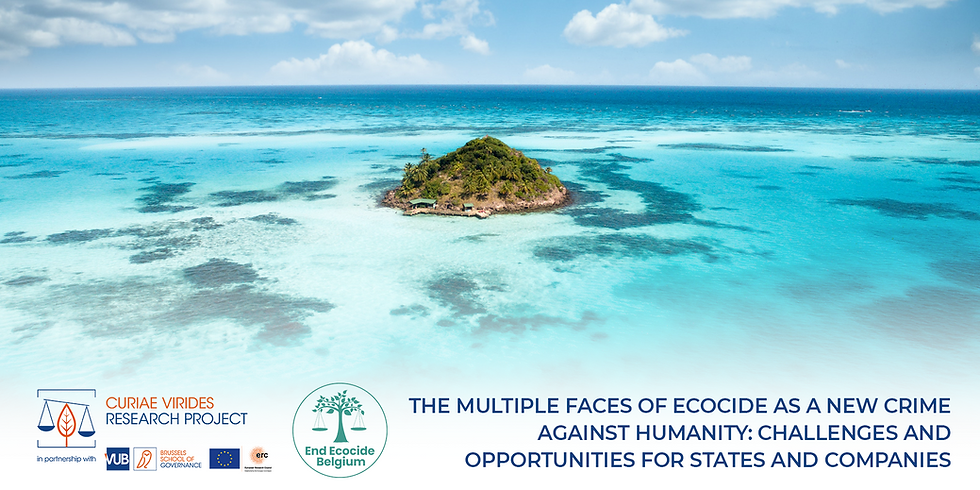 The multiple faces of ecocide as a new crime against humanity ...