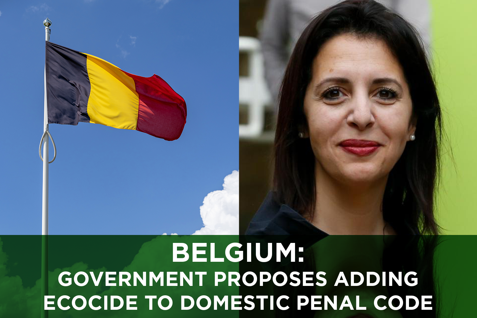Belgium: government proposes adding ecocide to domestic penal code ...