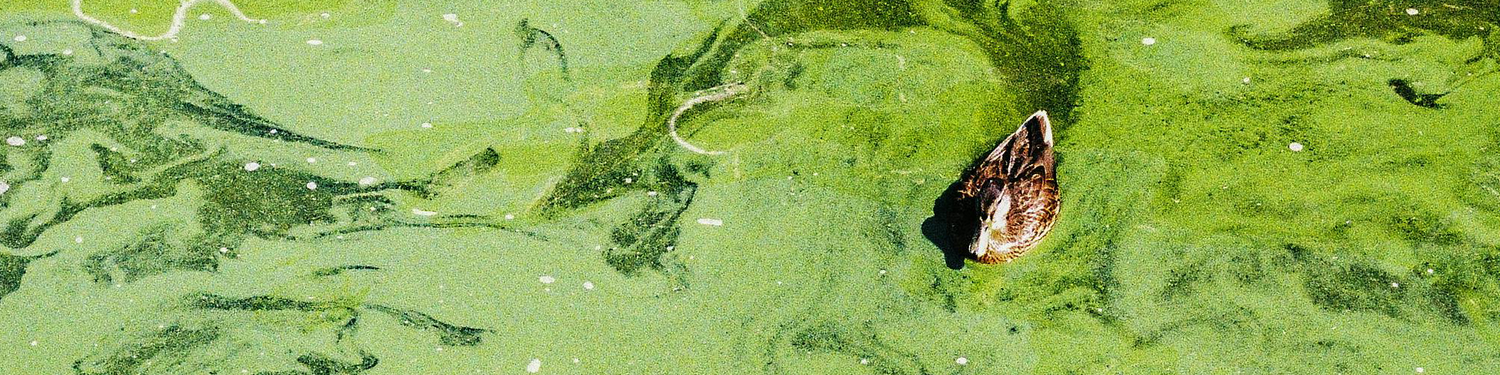 The unfinished story of a dying river — Stop Ecocide International
