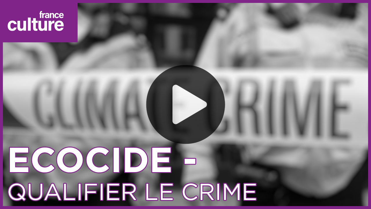 Podcasts — Stop Ecocide International