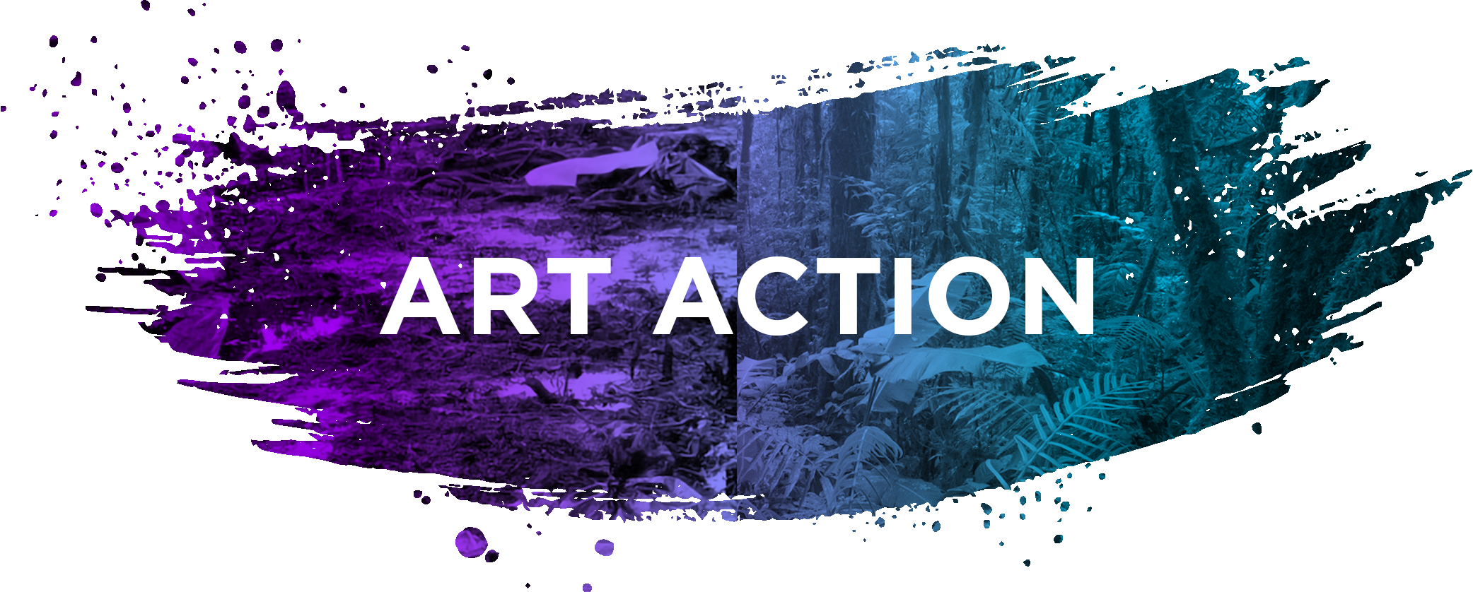 Art — Stop Ecocide International