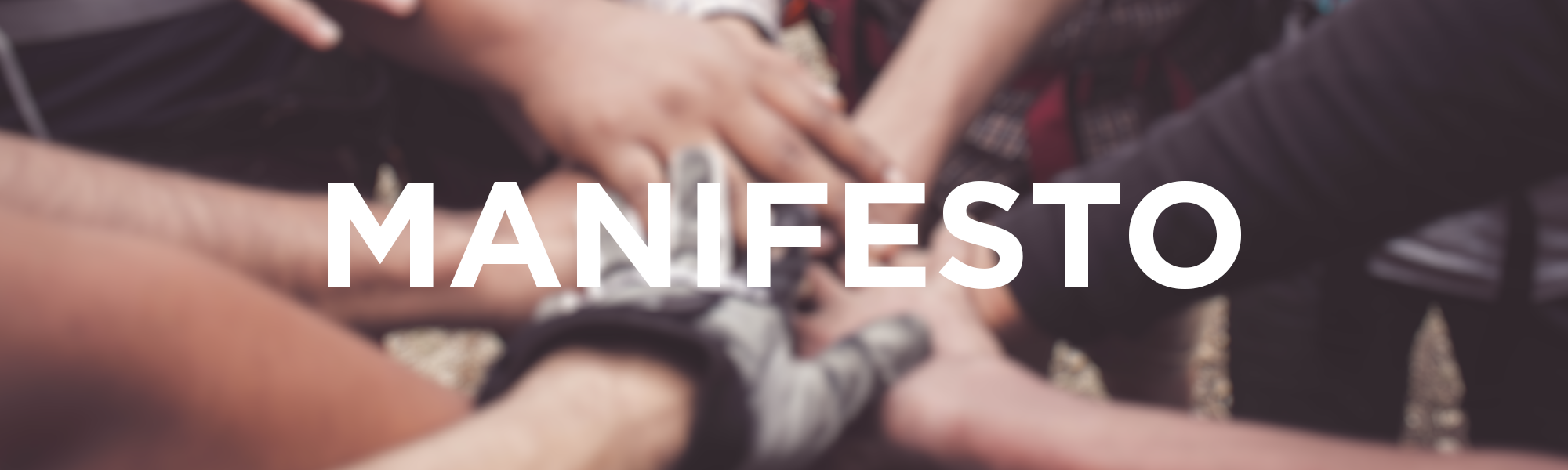 Organisations Manifesto — Stop Ecocide International