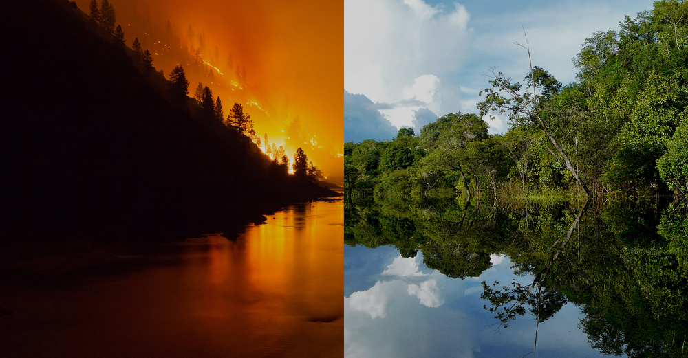 Stop Ecocide International