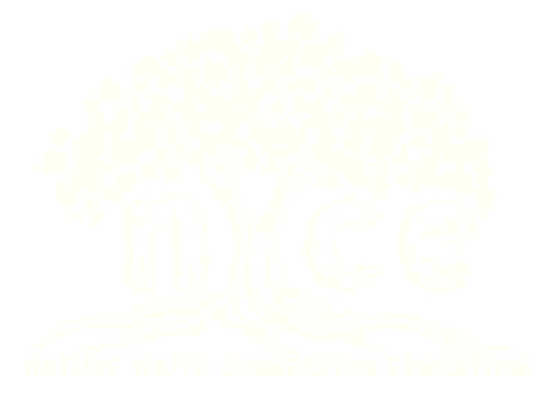 Resources — NYCE